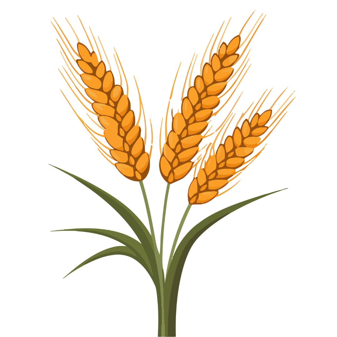 AaaharShri | Aaaharshri (India) Agro Private Limited – Manufacturer Of ...
